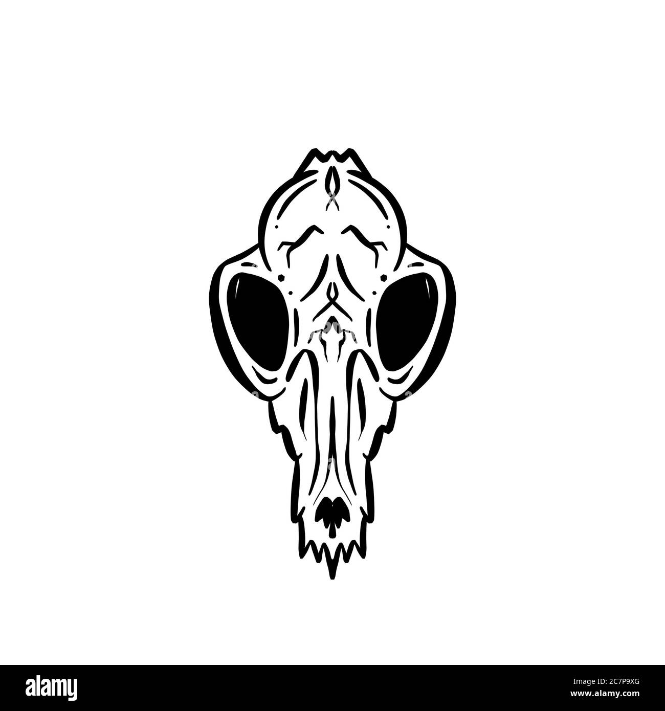 Skull Line Drawing at PaintingValley com - Skull Line Drawing 31 skull ...