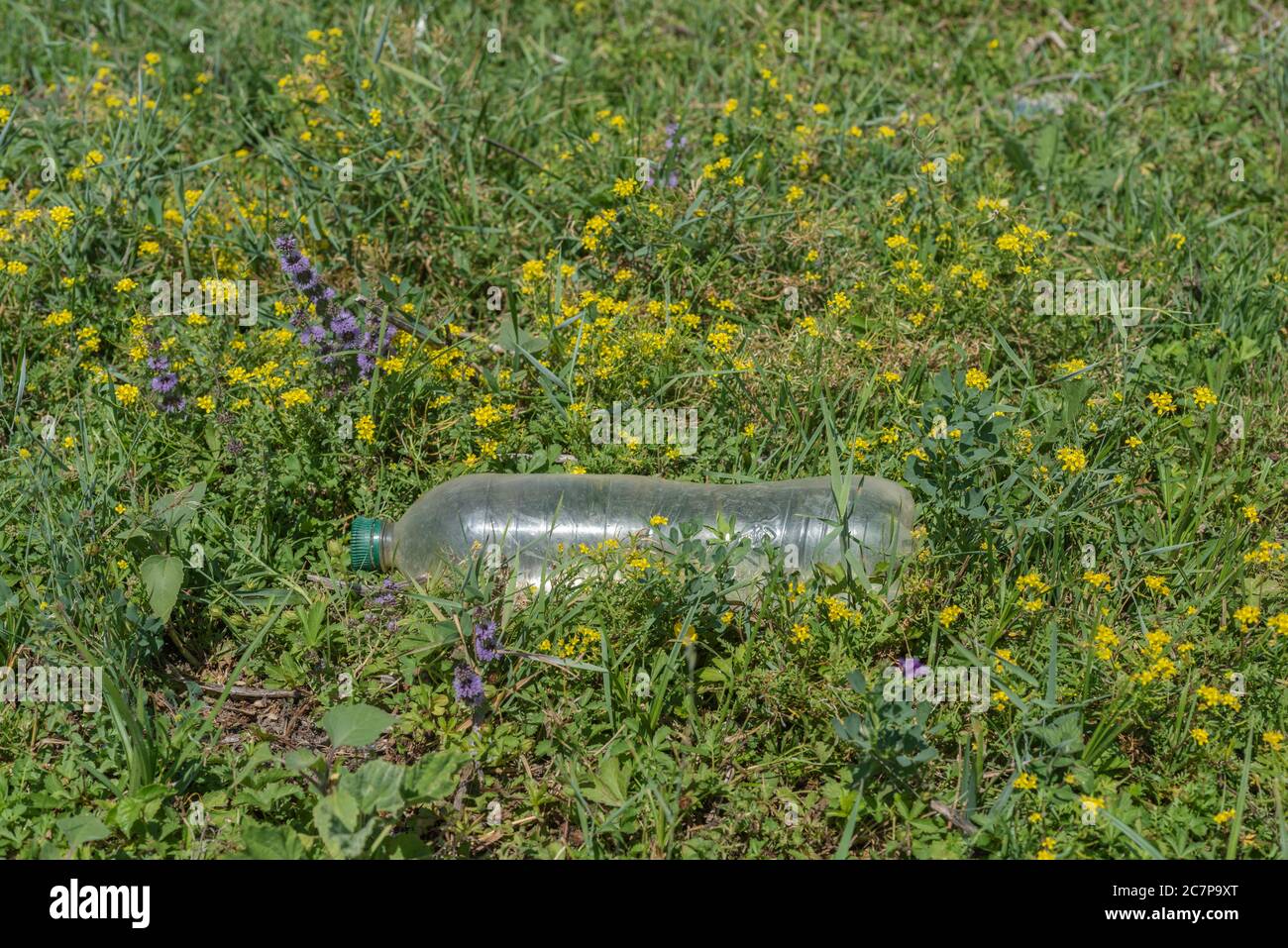 Close-up of discarded plastic bottles in a beautiful meadow among ...