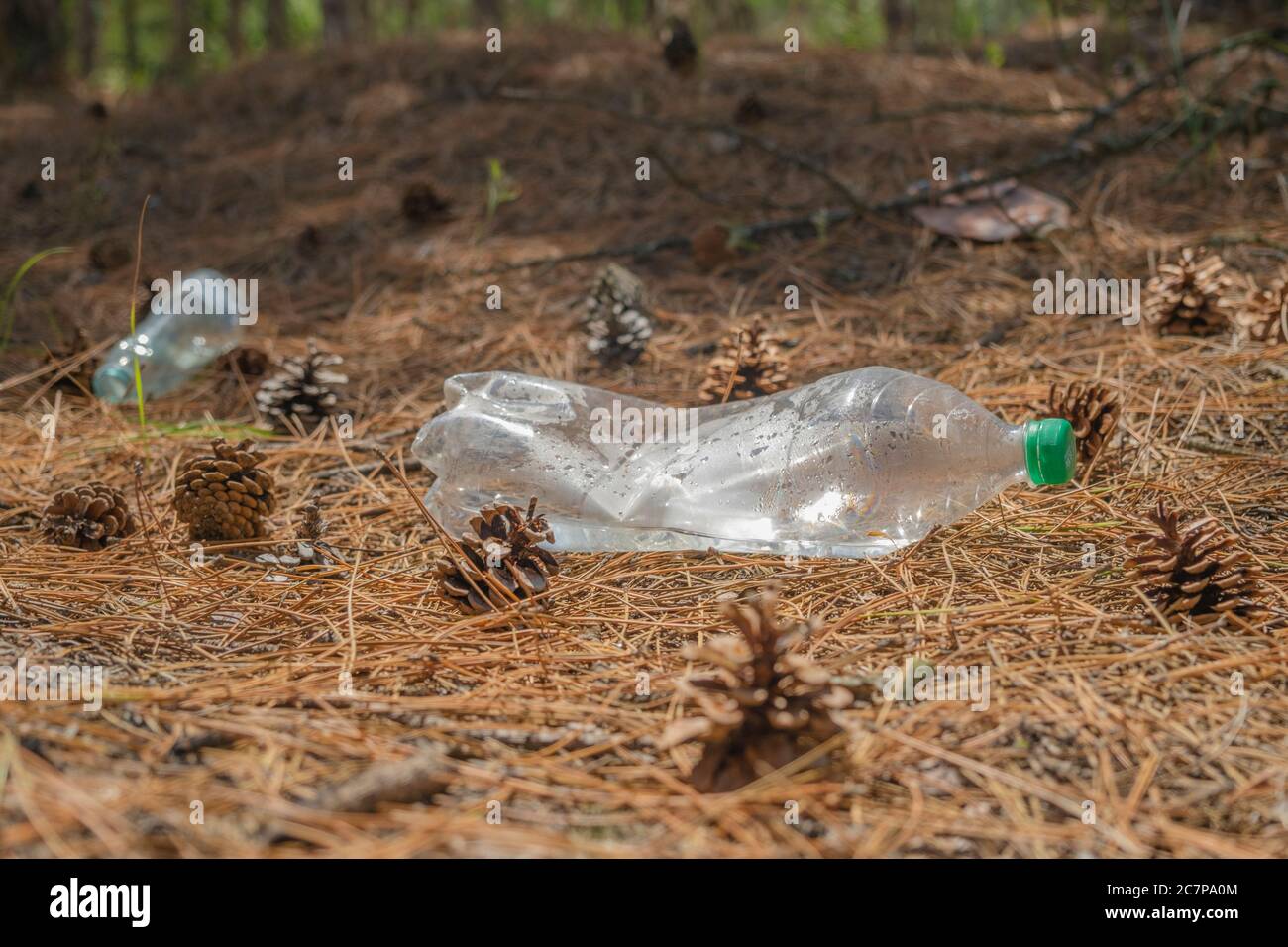 Close-up of discarded plastic bottles in a pine forest. Plastic ...