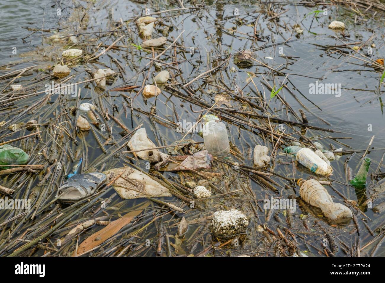 Plastic bottles and other plastic debris float in the Danube River ...