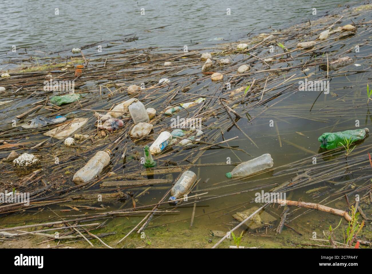 Plastic bottles and other plastic debris float in the Danube River ...