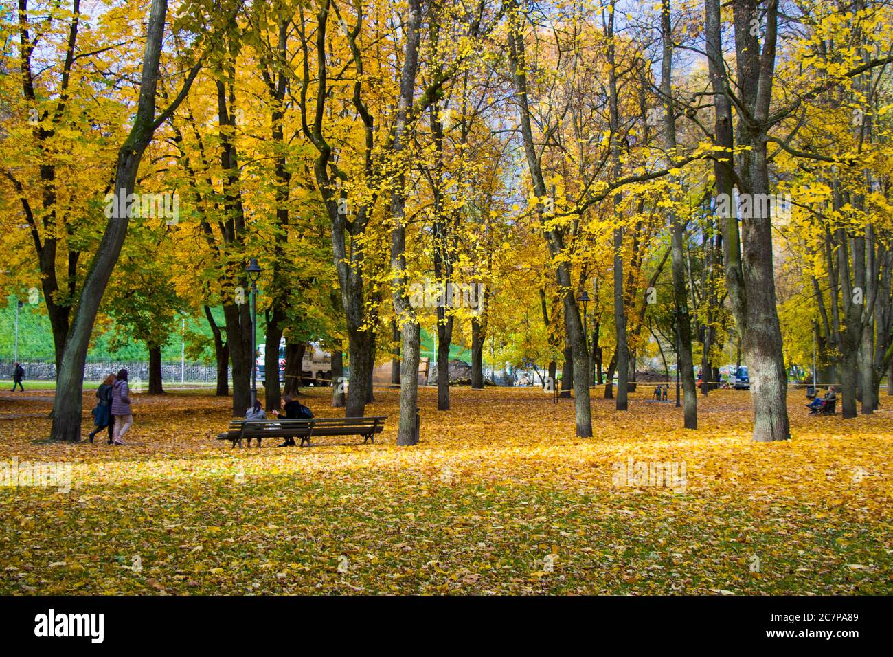 Famous park in city center of Vilnius, Autumn and fall trees and leaves ...