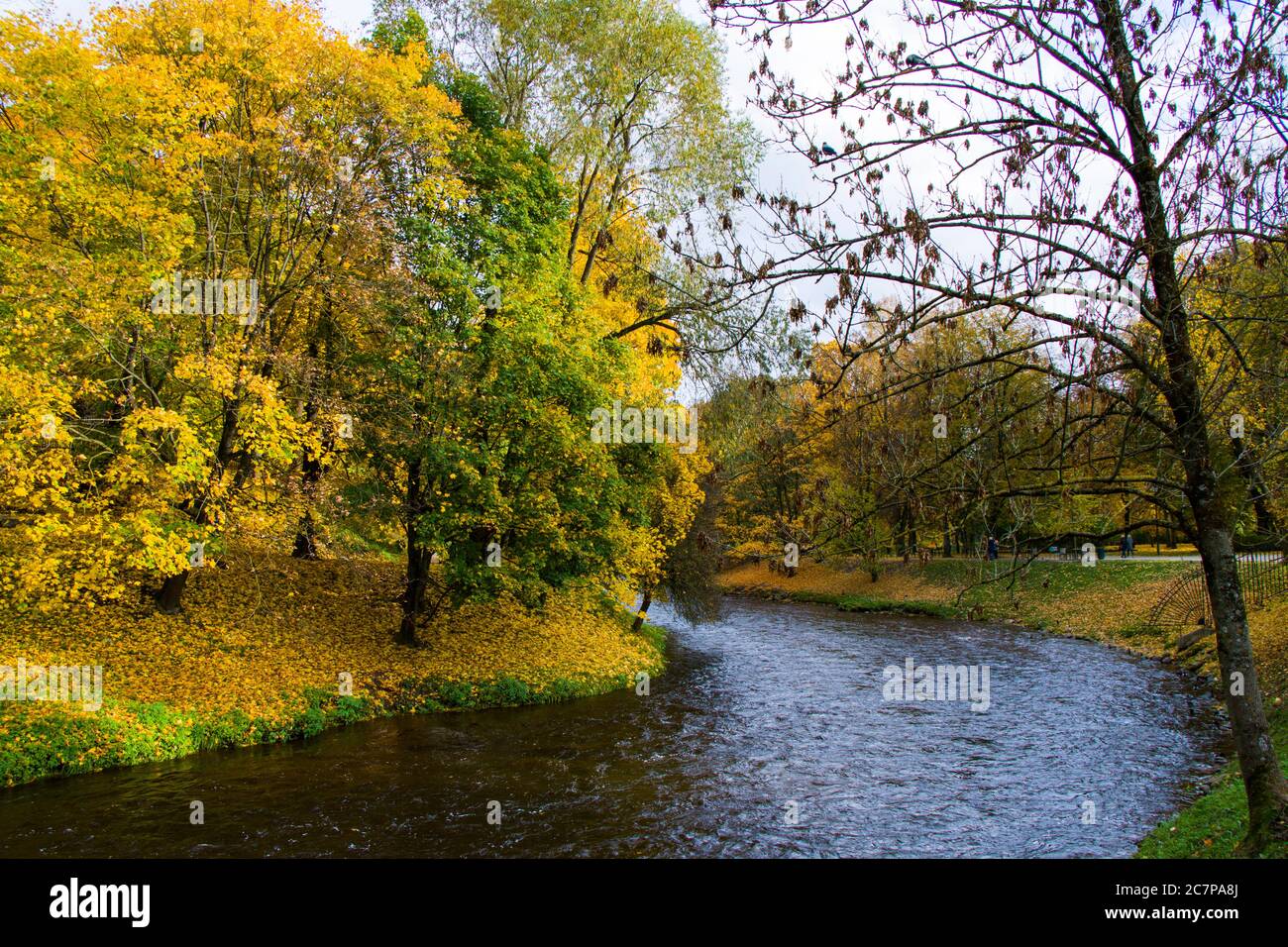 Famous park in city center of Vilnius, Autumn and fall trees and leaves ...