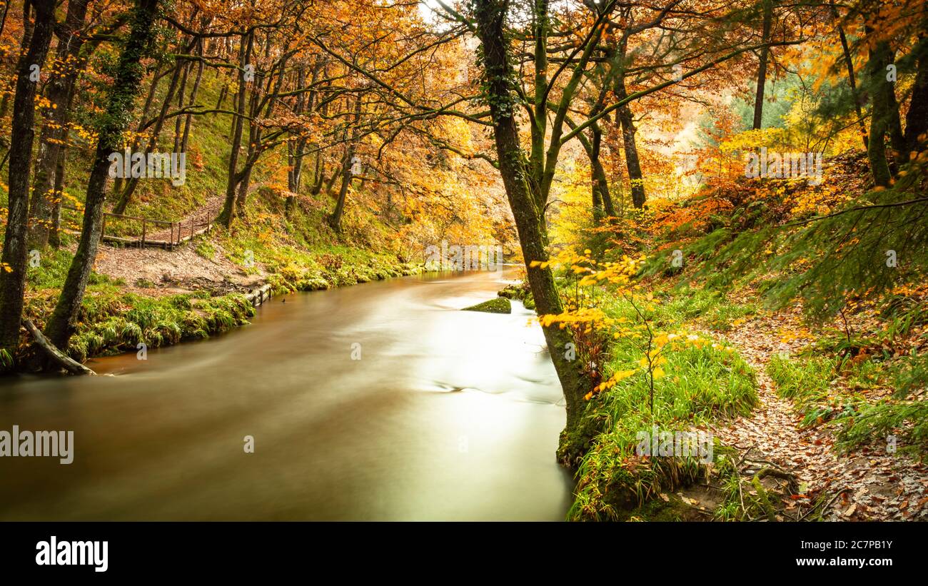 Autumn colours on the River Teign on Dartmoor Stock Photo - Alamy