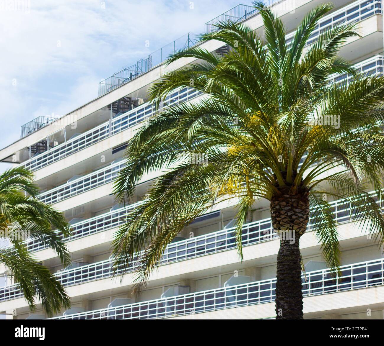summer and travel background - palm tree and modern building of hotel ...