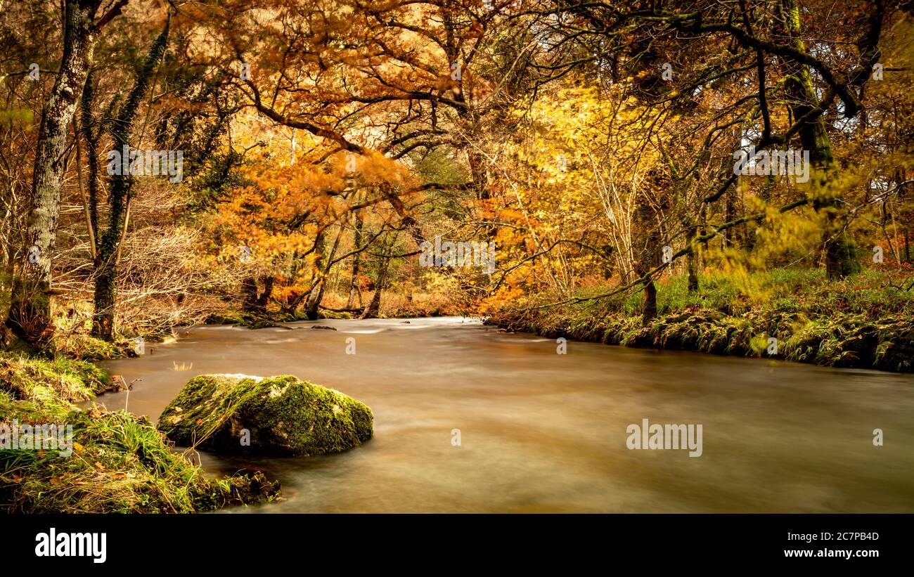Autumn colours on the River Teign on Dartmoor Stock Photo - Alamy