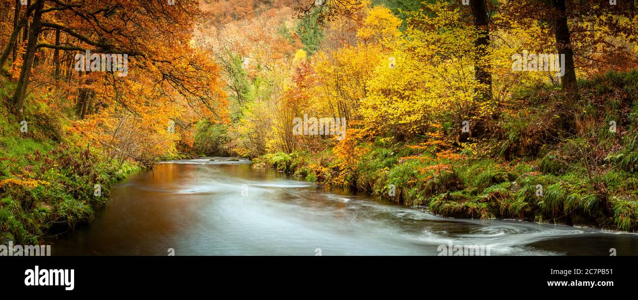 Autumn colours on the River Teign on Dartmoor Stock Photo - Alamy