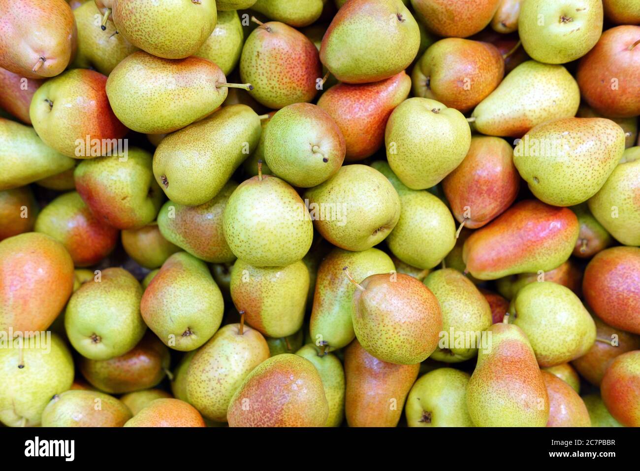 Pears harvest background on shelves in supermarket may use as ...