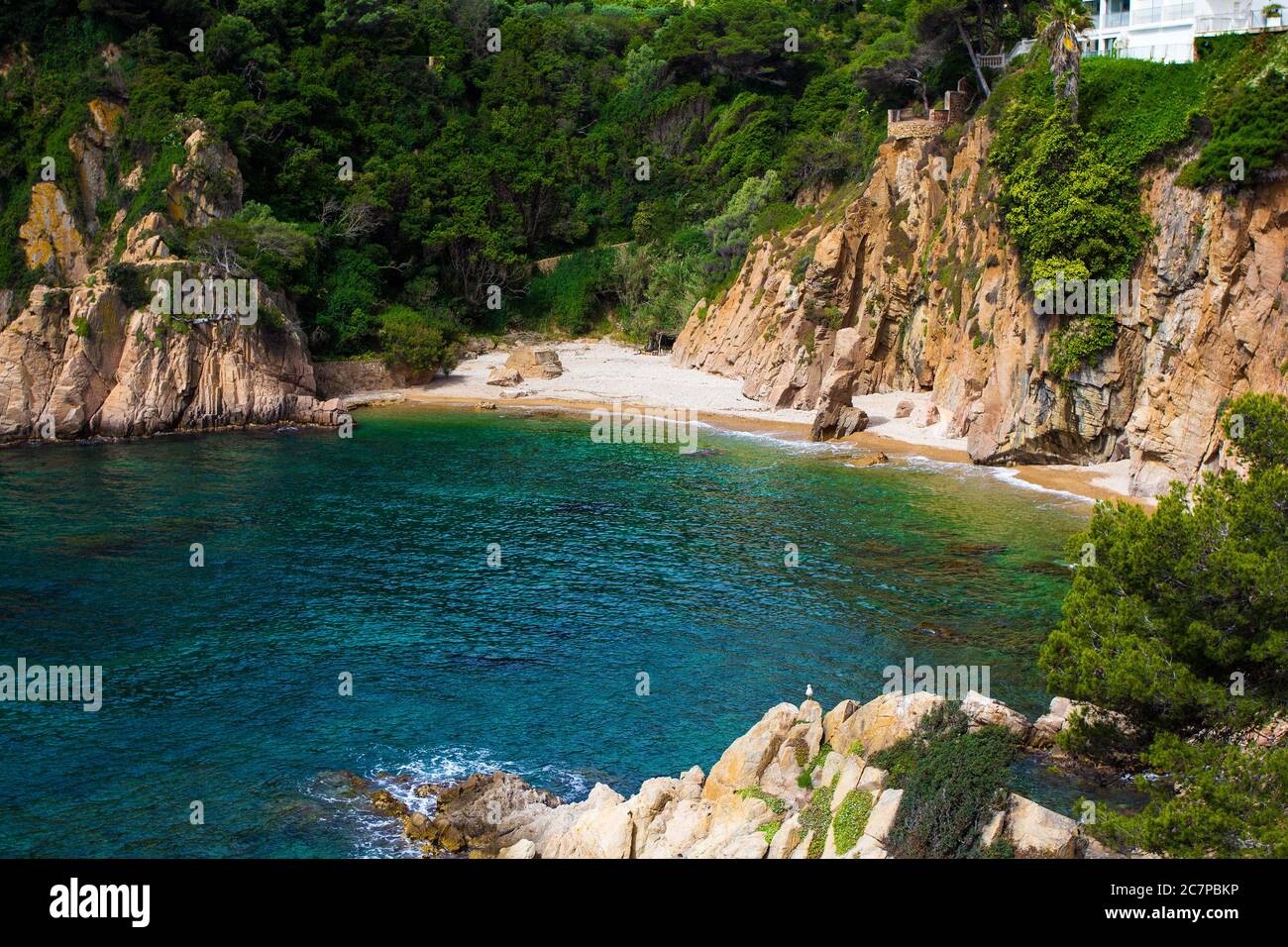 beautiful bay with transparent water and sandy beach Stock Photo - Alamy