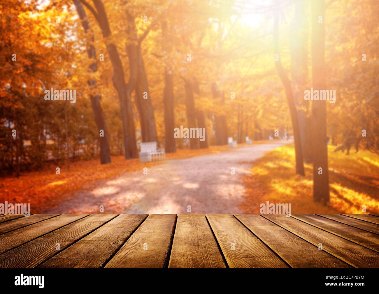 Old wooden table top with leaves falling in forest, autumn background ...