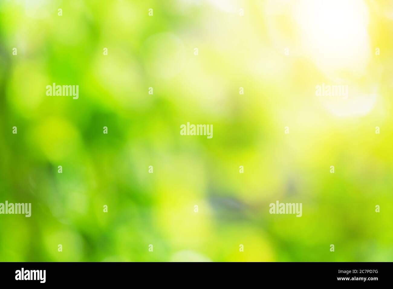 Spring season abstract hi-res stock photography and images - Alamy