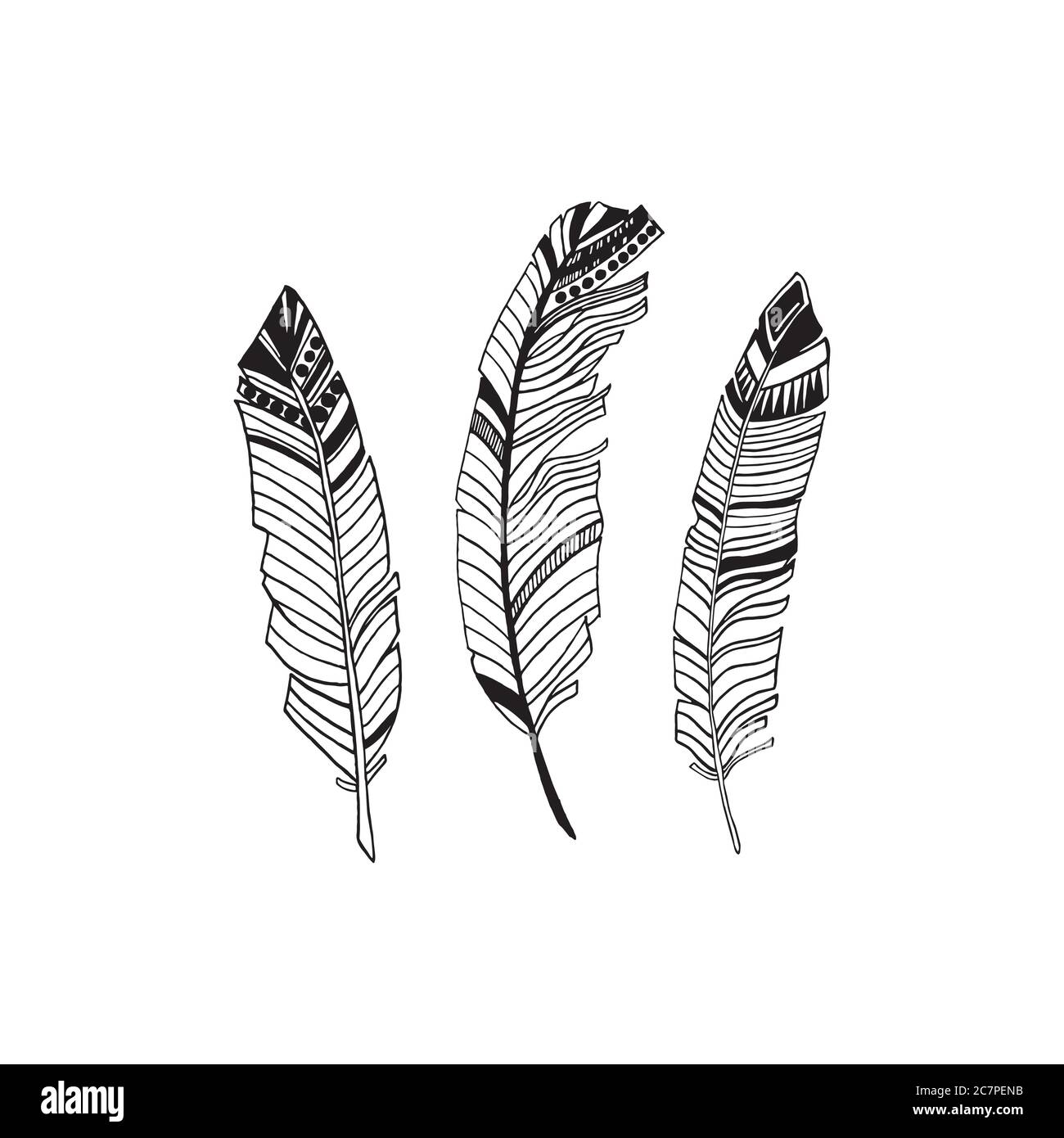 realistic feathers vector Stock Vector Image & Art - Alamy