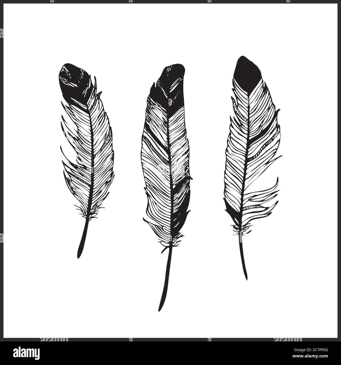 vector feathers design Stock Vector Image & Art - Alamy