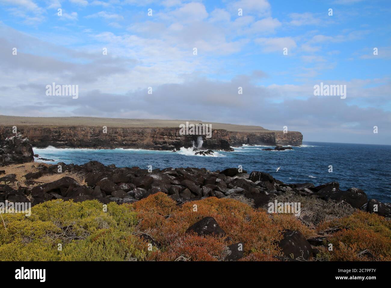 Punta Suarez coast, landscape on the island of Espanola, Galapagos ...