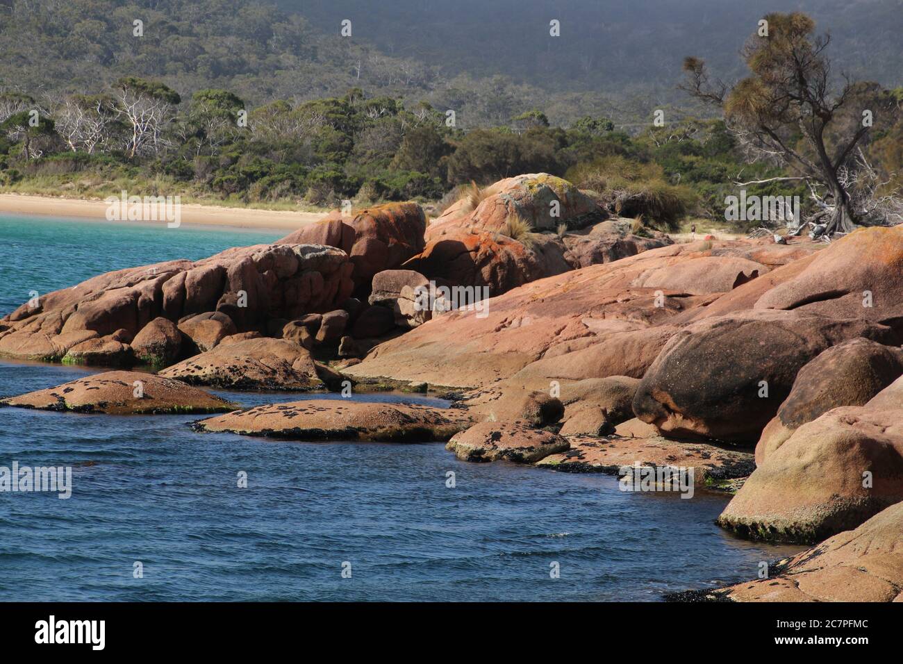 Tasmania coastal landscape in Honeymoon Bay Stock Photo - Alamy