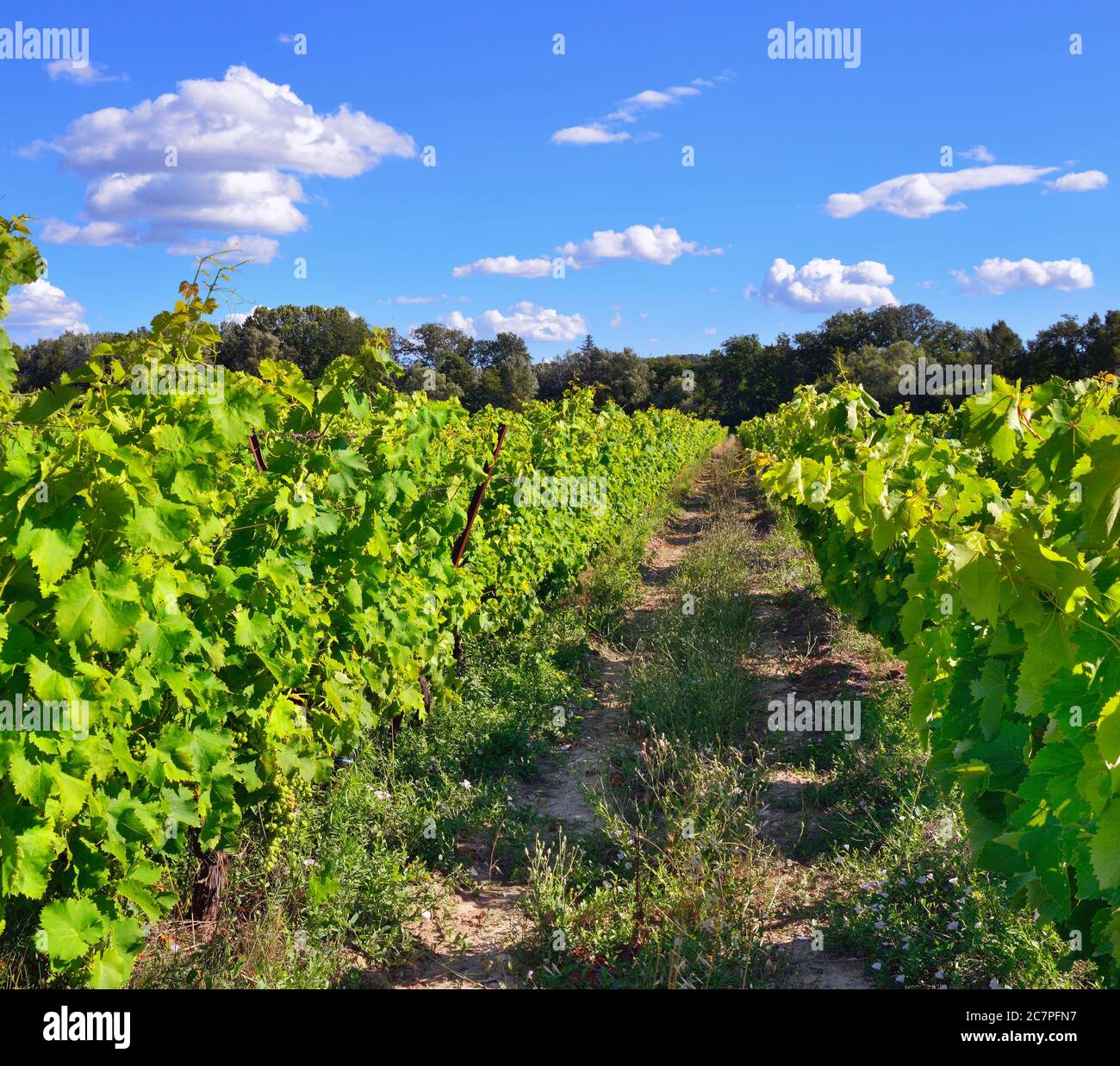 Mazan France High Resolution Stock Photography and Images - Alamy