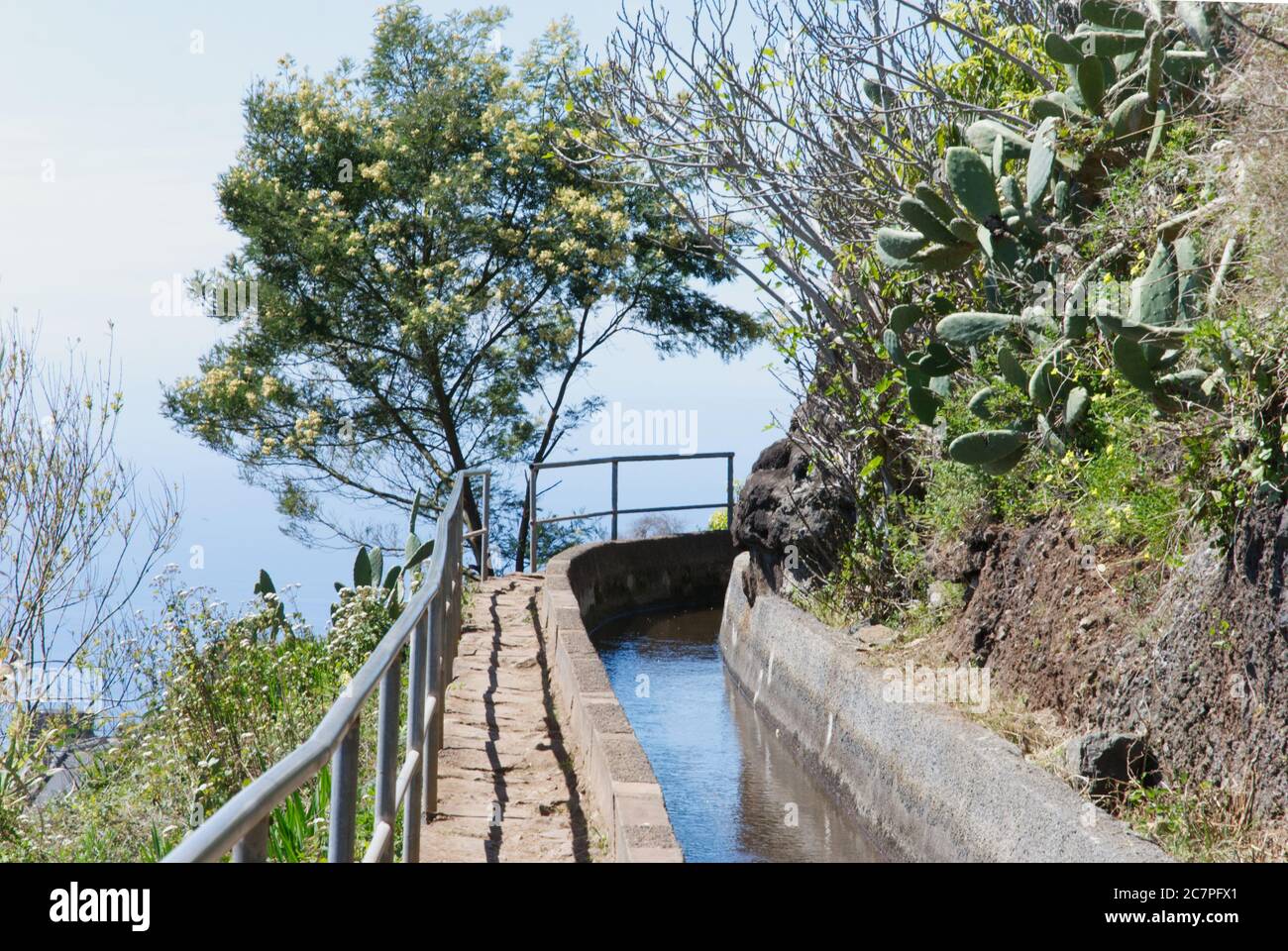 Hiking trail at a levada (water canal) in Madeira Stock Photo - Alamy
