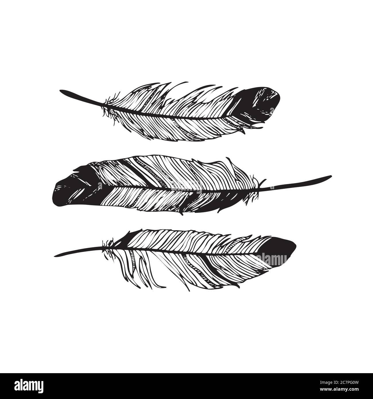 realistic feathers vector Stock Vector Image & Art - Alamy