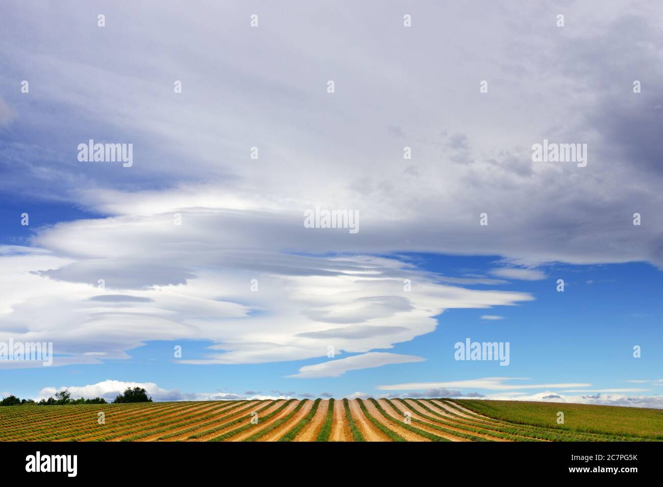 Mistral wind hi-res stock photography and images - Alamy
