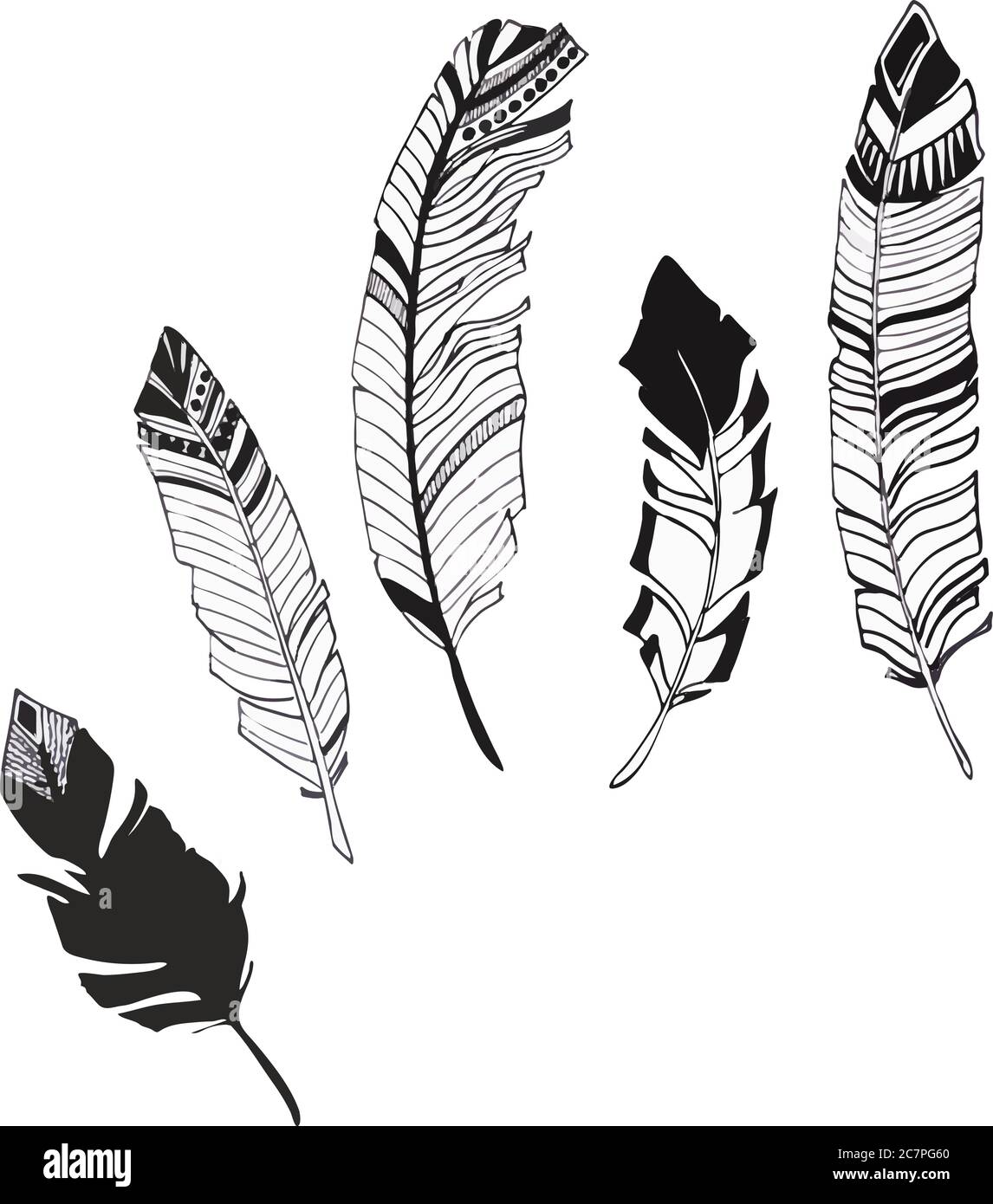 realistic feathers vector Stock Vector Image & Art - Alamy