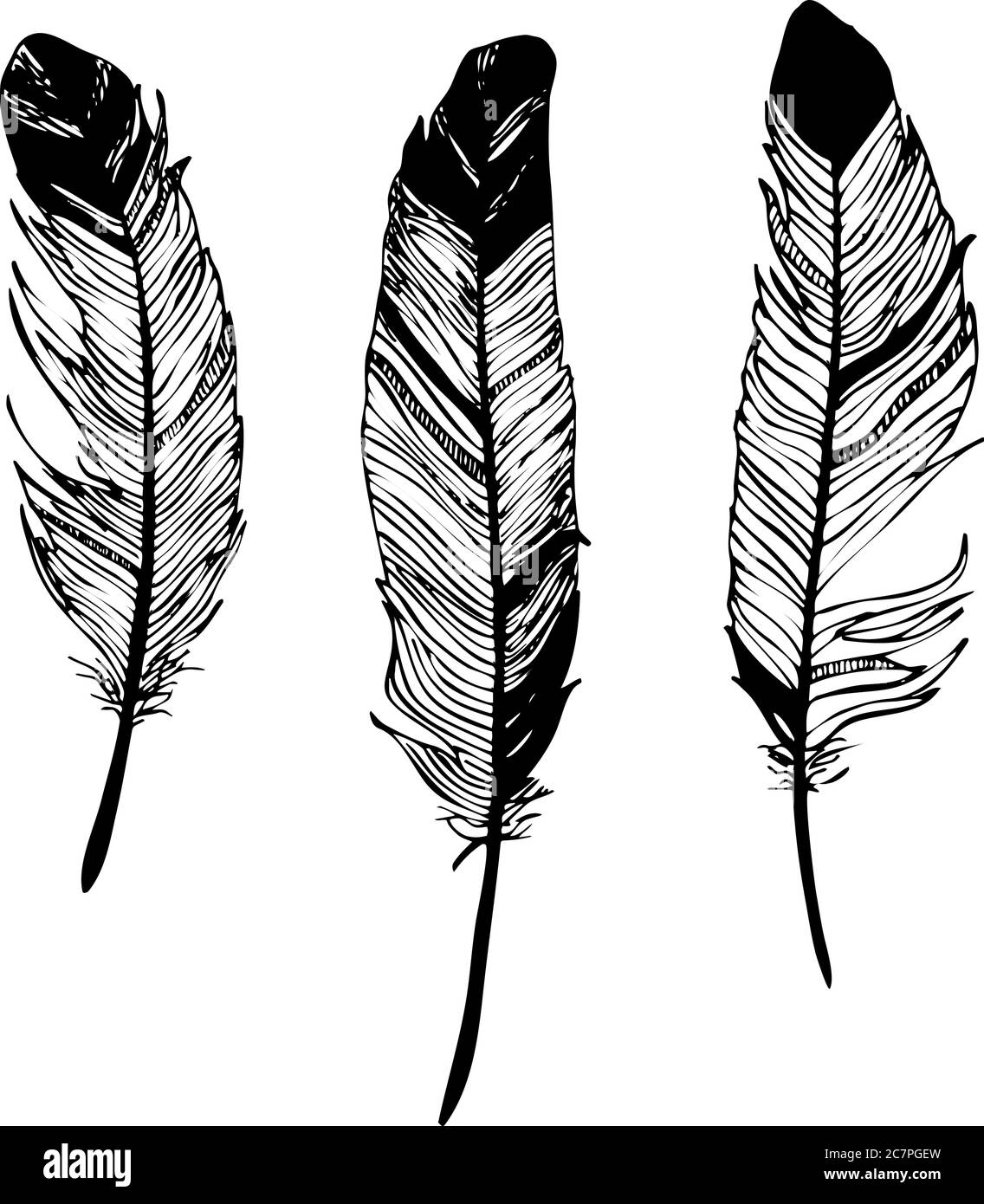 realistic feathers vector Stock Vector Image & Art - Alamy