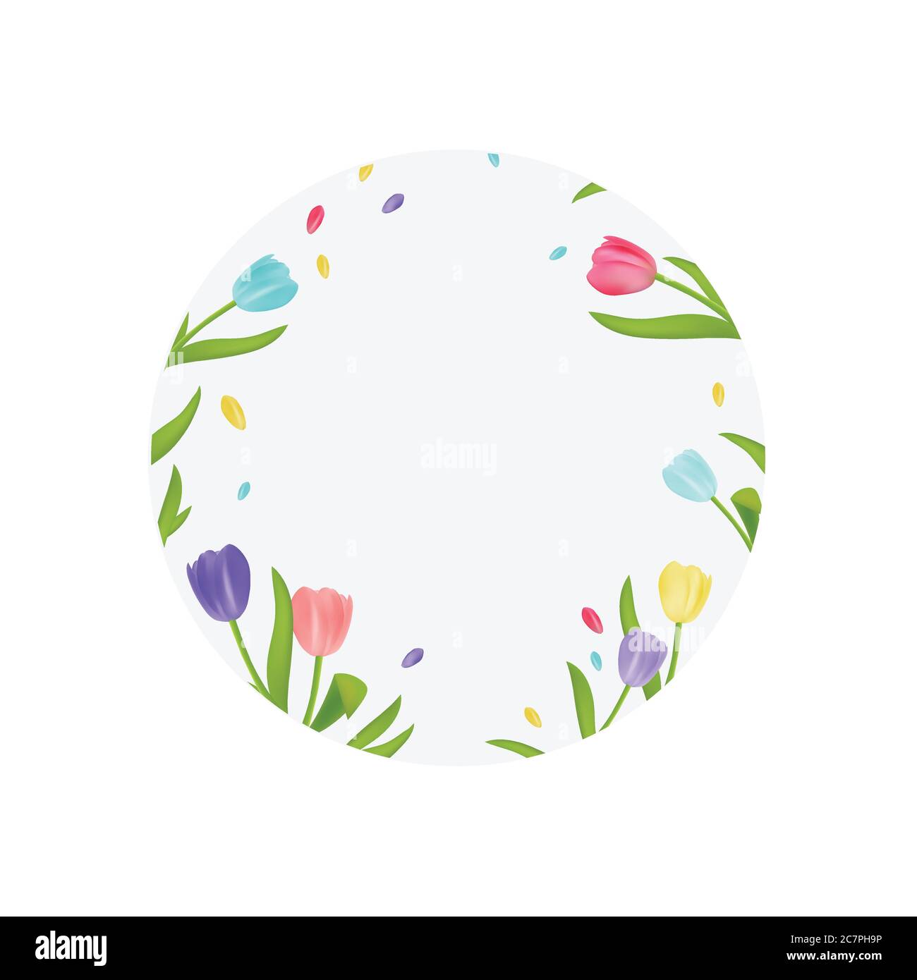 White tulip flowers in Stock Vector Images - Alamy