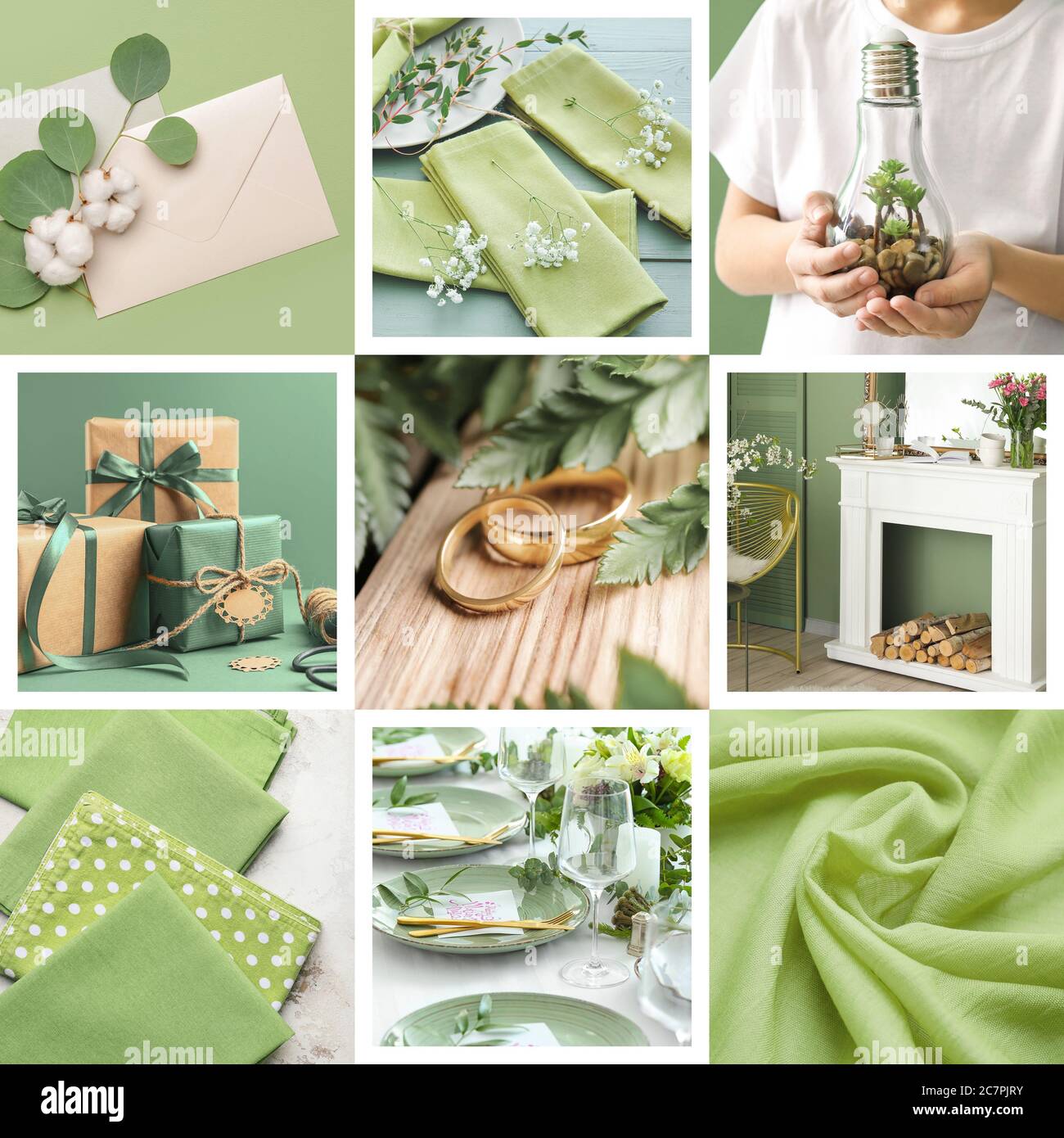 Collage of photos in green colors Stock Photo - Alamy