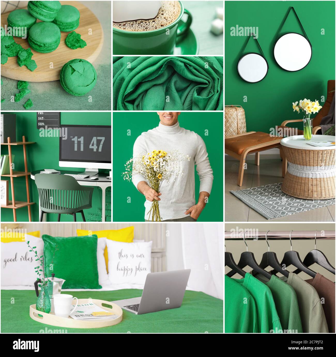 Collage of photos in green colors Stock Photo - Alamy
