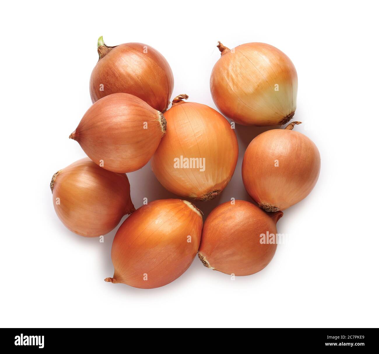 Fresh raw onion on white background Stock Photo - Alamy