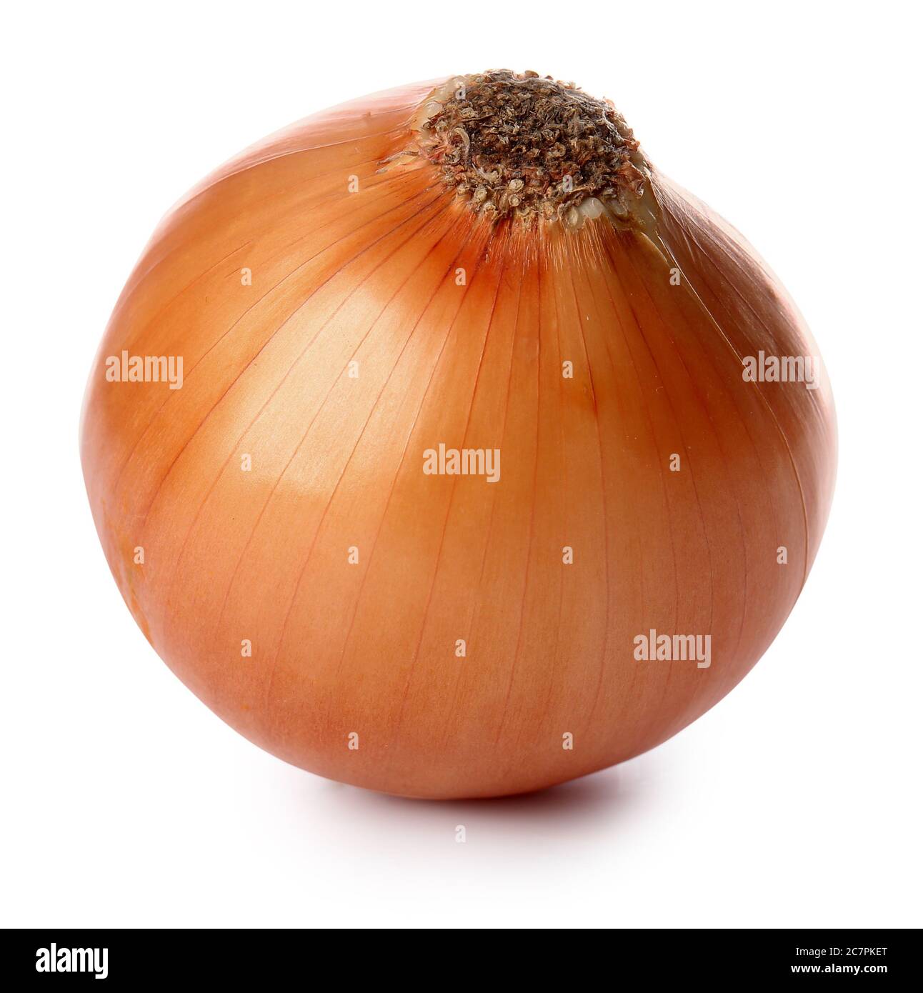Fresh raw onion on white background Stock Photo - Alamy