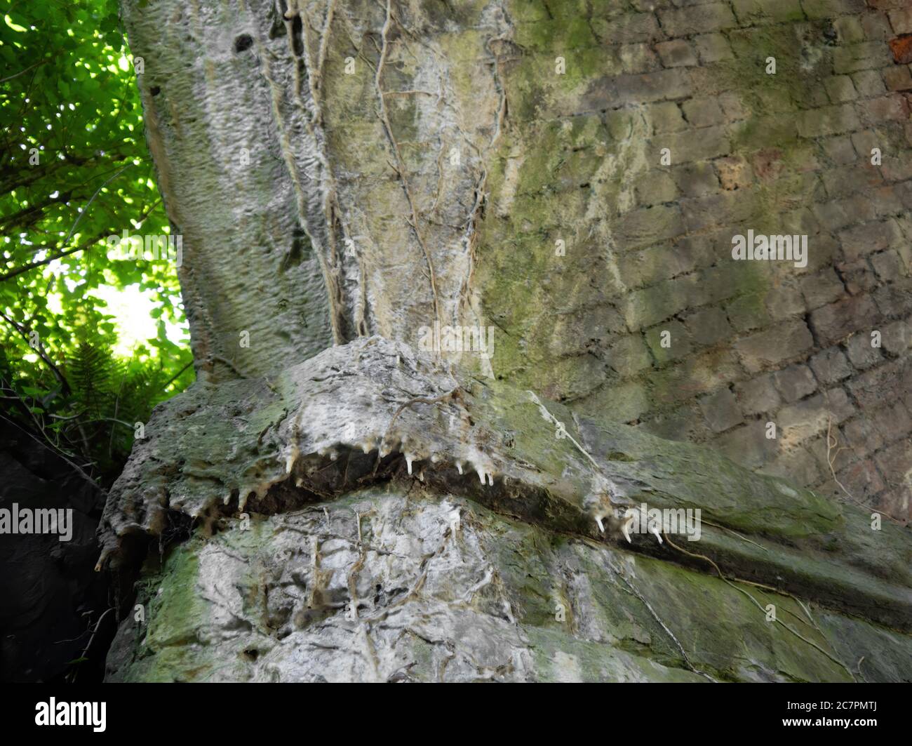 Stalactites bridge hi-res stock photography and images - Alamy