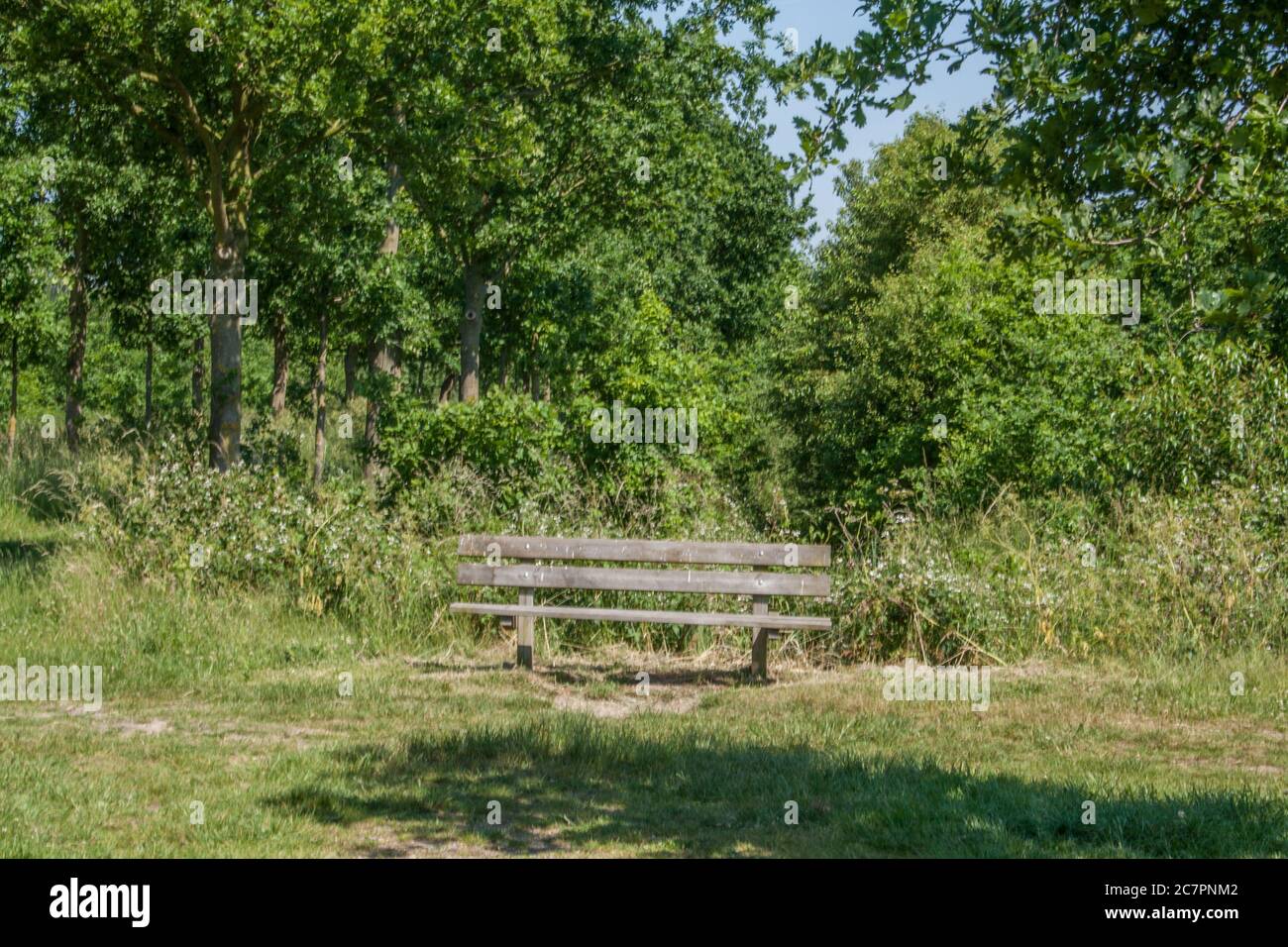 Enjoy The Silence High Resolution Stock Photography and Images - Alamy