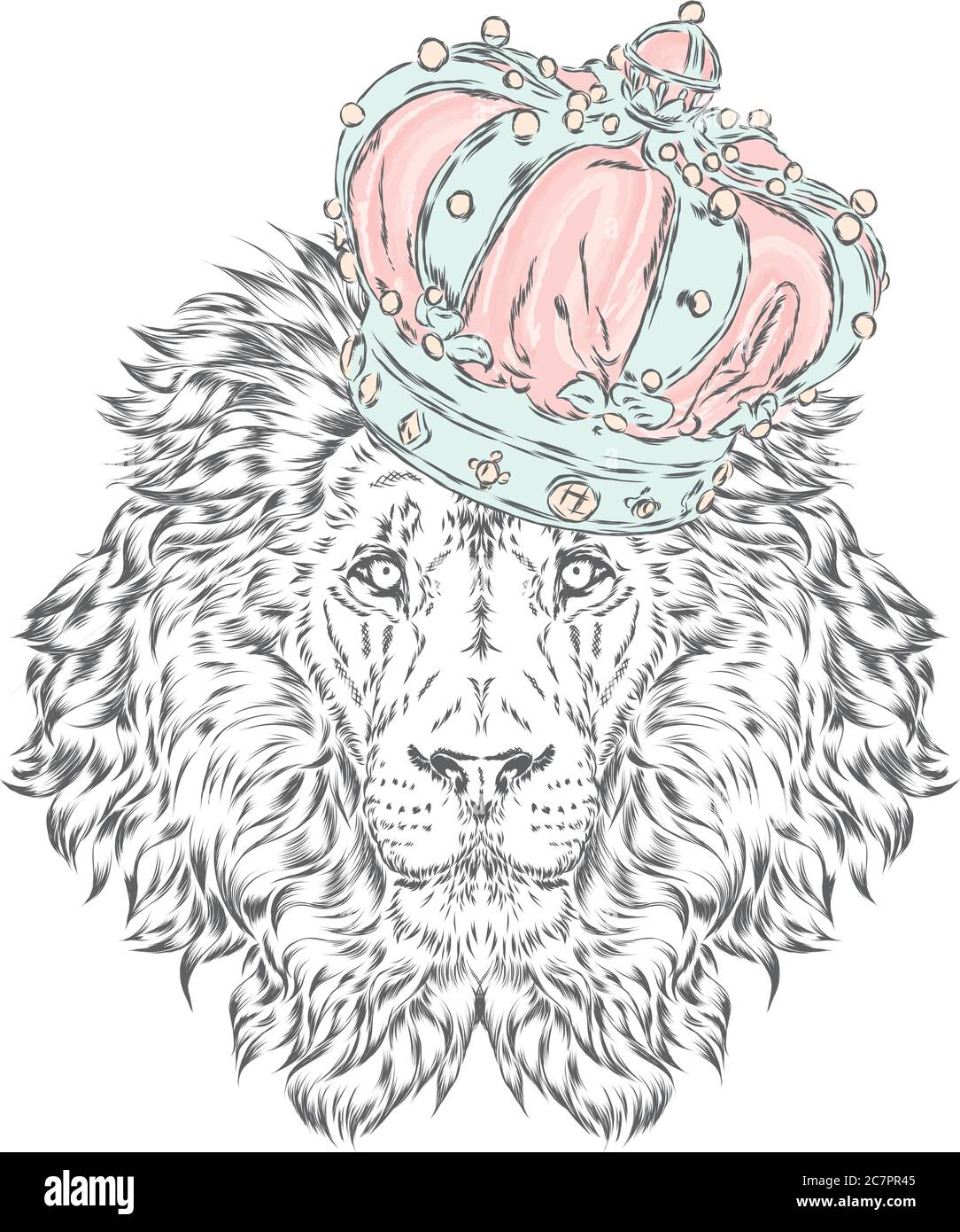 Beautiful Lion Drawing