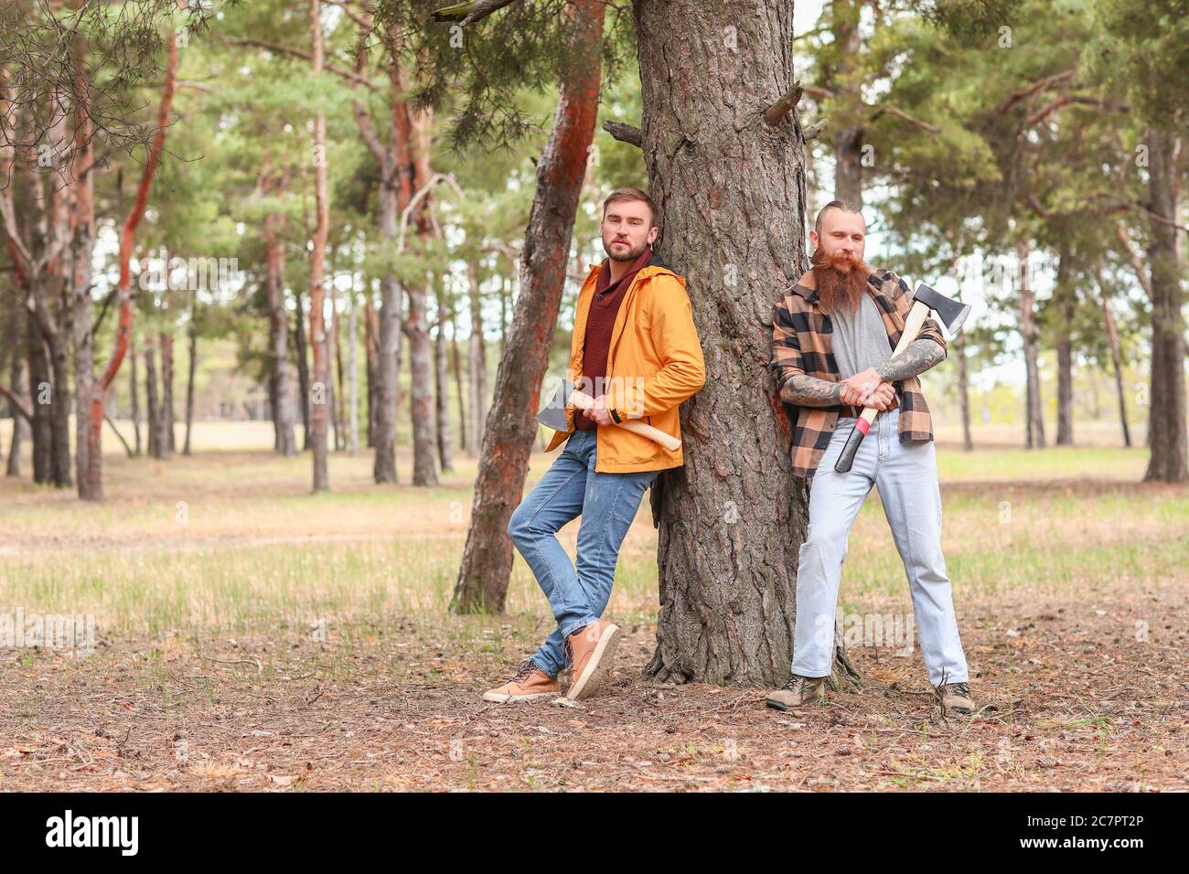 Lumberjacks work hi-res stock photography and images - Alamy