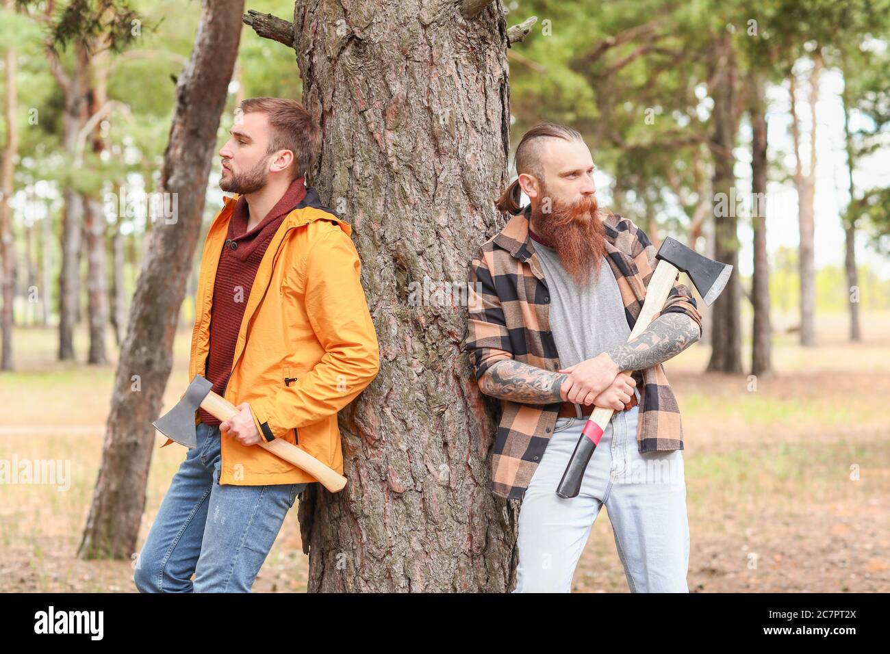 Lumberjacks work hi-res stock photography and images - Alamy