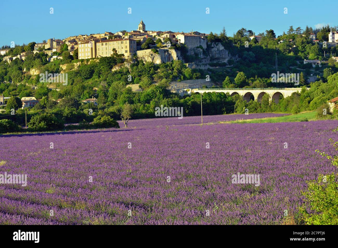 Medieval village lavender field hi-res stock photography and images - Alamy
