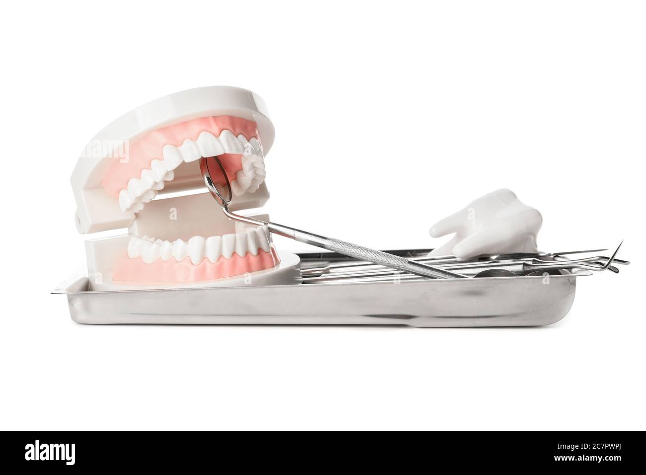 Model of jaw with dental tools on white background Stock Photo - Alamy