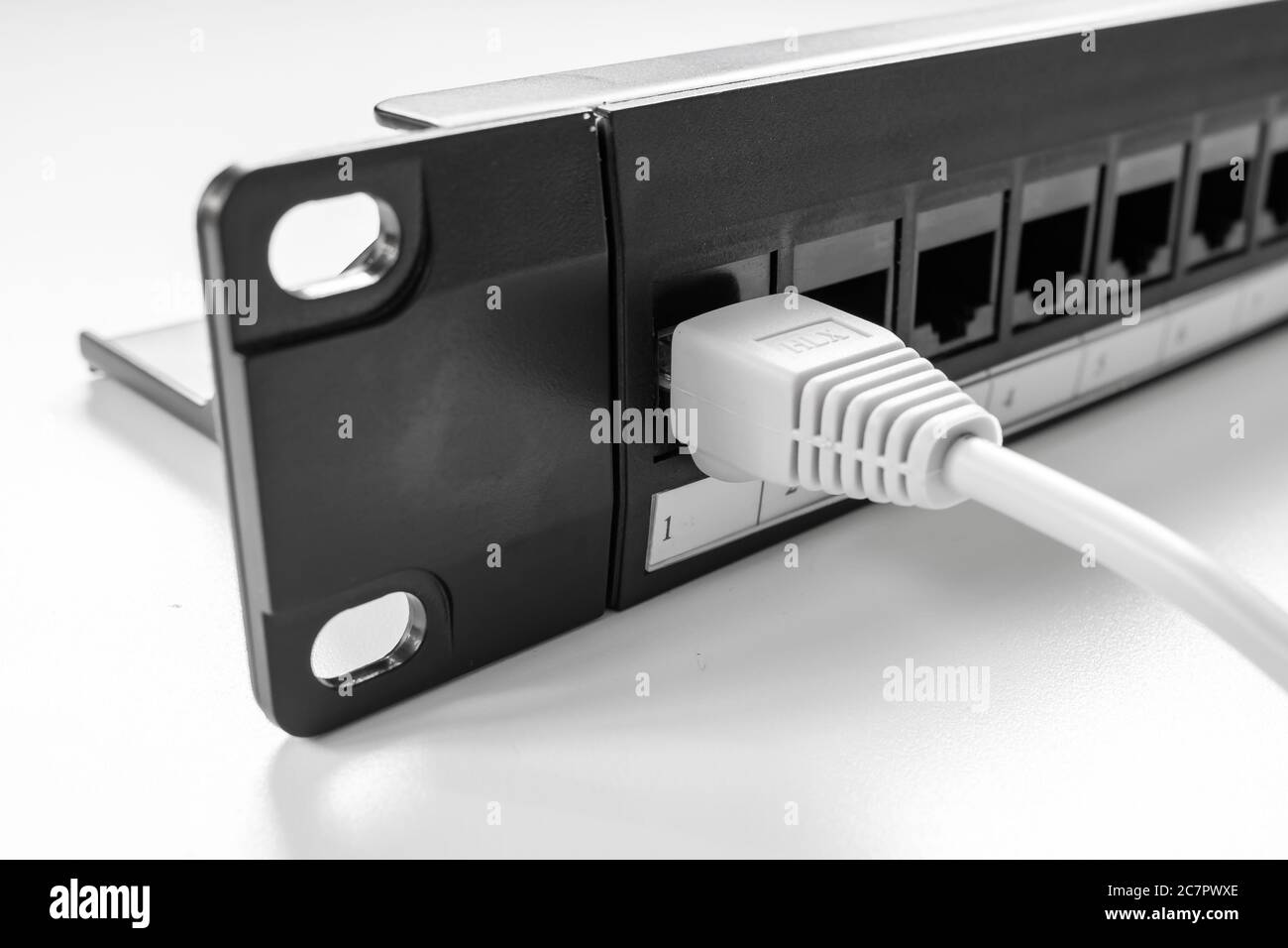 Close-up of a Cat5e 24-Port Patch Panel showing an Ethernet Patch Lead ...