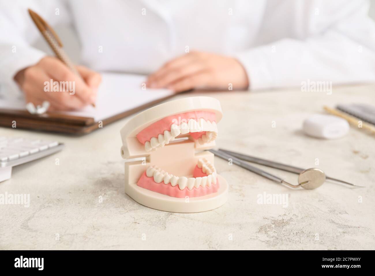 Model of jaw on table of dentist Stock Photo - Alamy