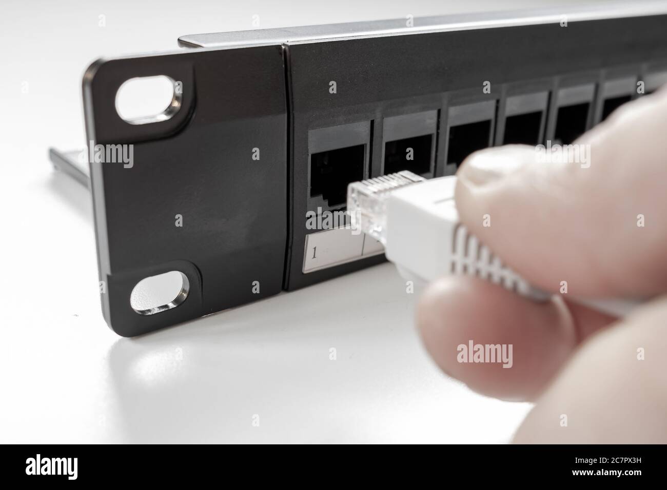 Close-up of a Cat5e 24-Port Patch Panel showing an Ethernet Patch Lead ...