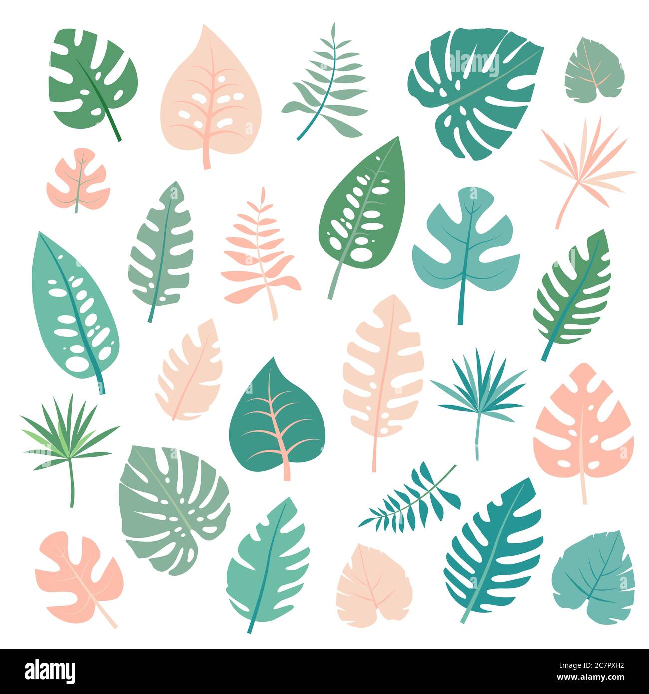 tropical plants vector Stock Vector Image & Art - Alamy