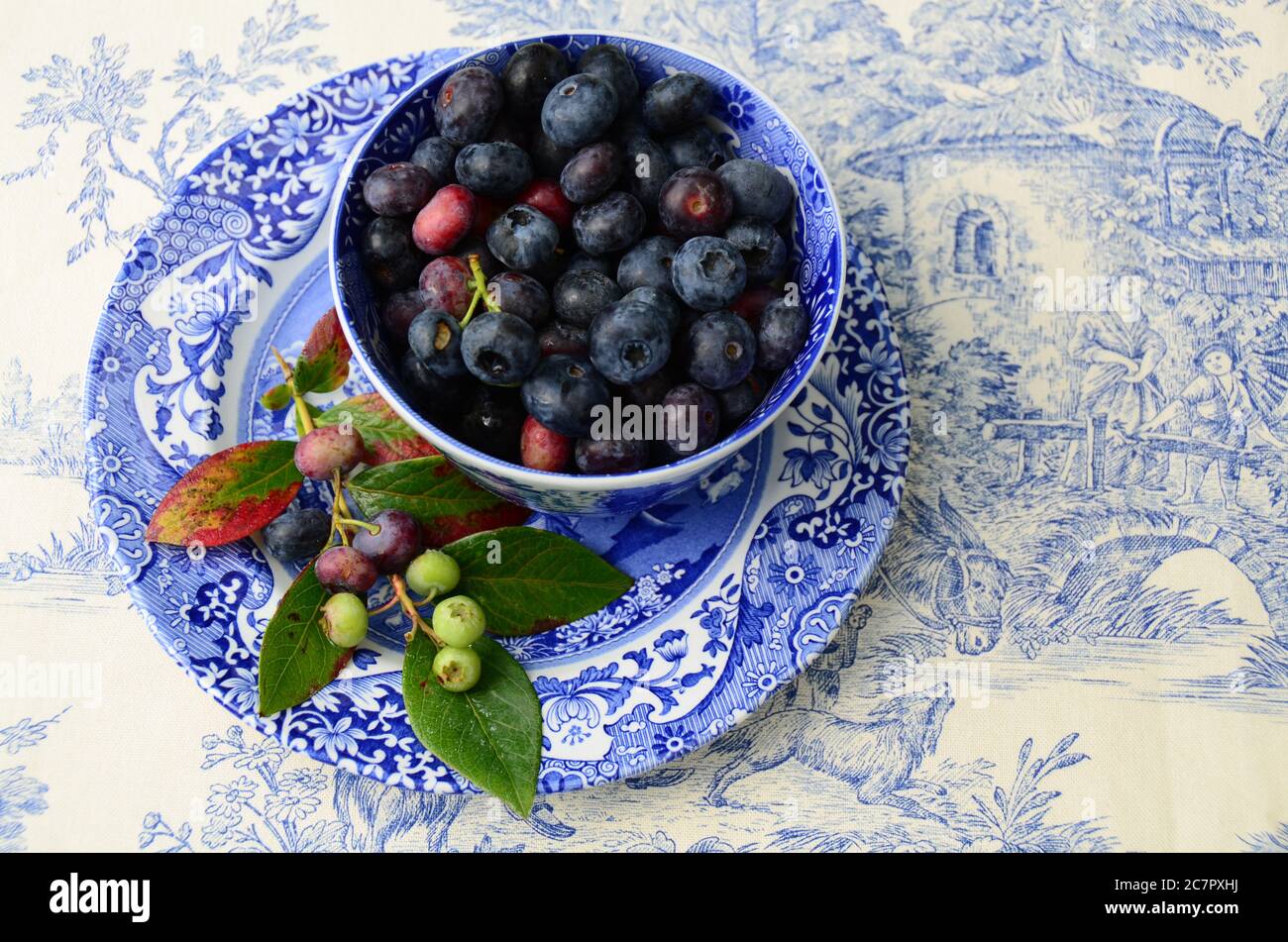 Fresh blueberries in a bowl Stock Photo - Alamy