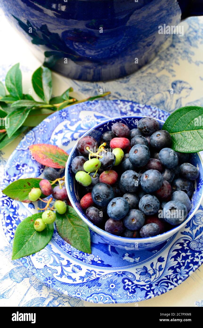 Fresh blueberries in a bowl Stock Photo - Alamy