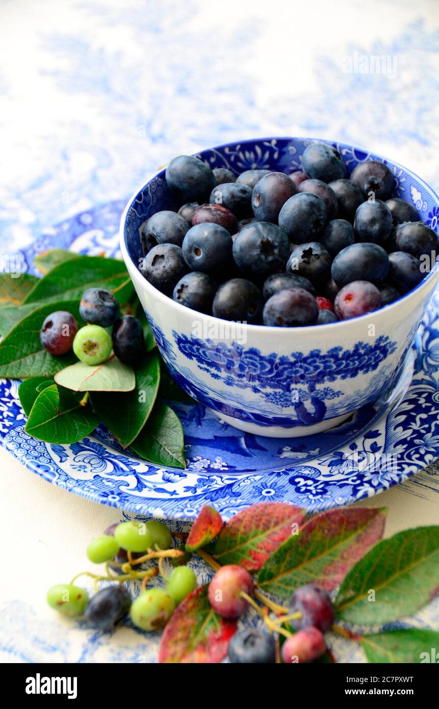 Fresh blueberries in a bowl Stock Photo - Alamy