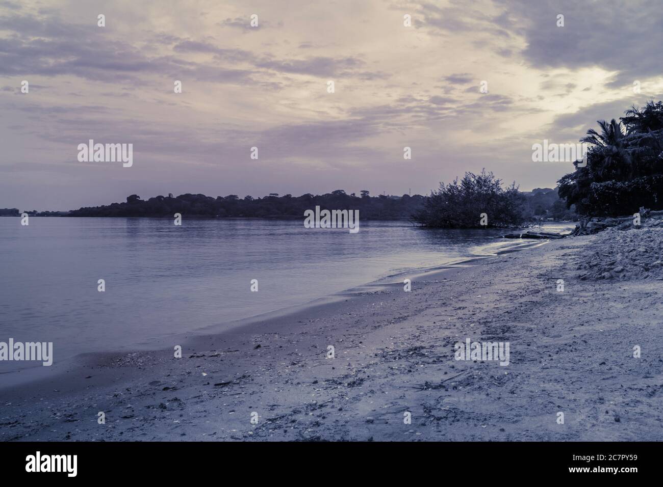 Sunset view of Lake Victoria Shoreline, Entebbe, Uganda, Africa Stock ...