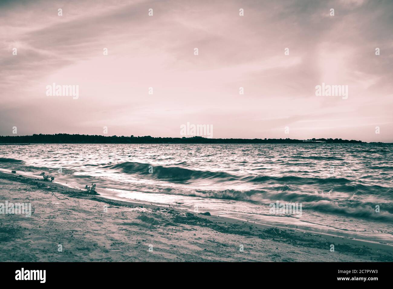 Sunset view of Lake Victoria Shoreline, Entebbe, Uganda, Africa Stock ...
