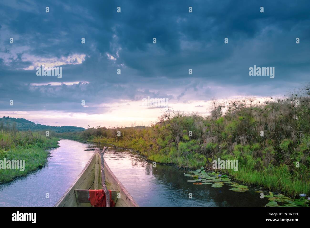 Sunset view of Mabamba Swamp from a little wooden fishing boat, Entebbe ...
