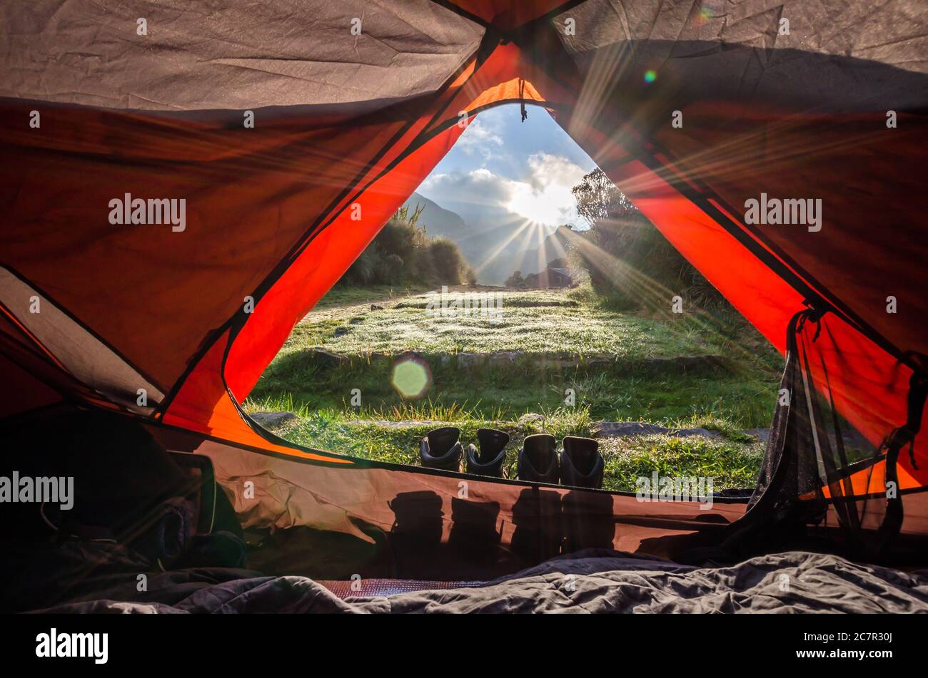 Closeup shot of a red tent in the forest at daytime - perfect for ...