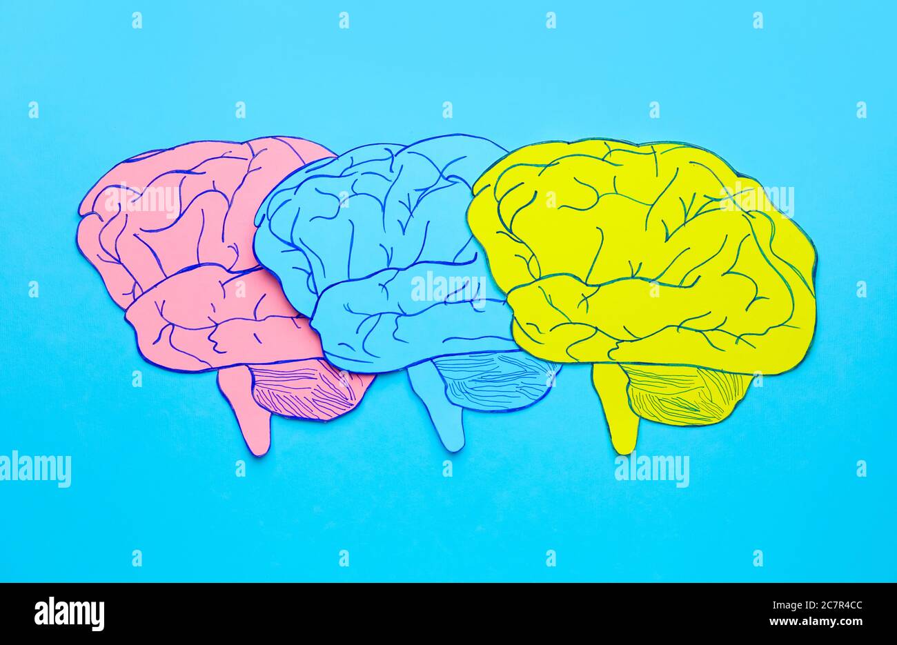 Paper human brains on color background Stock Photo - Alamy