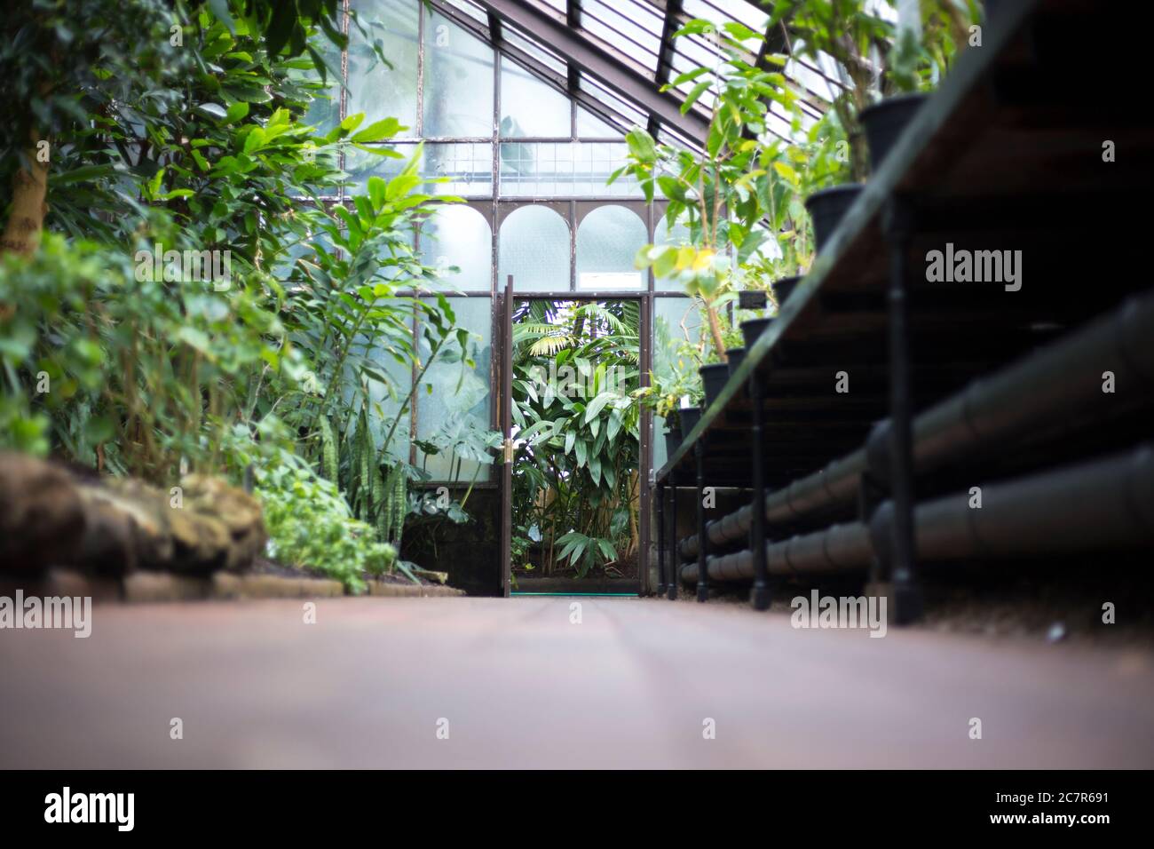 Glasgow botanic gardens green hi-res stock photography and images - Alamy